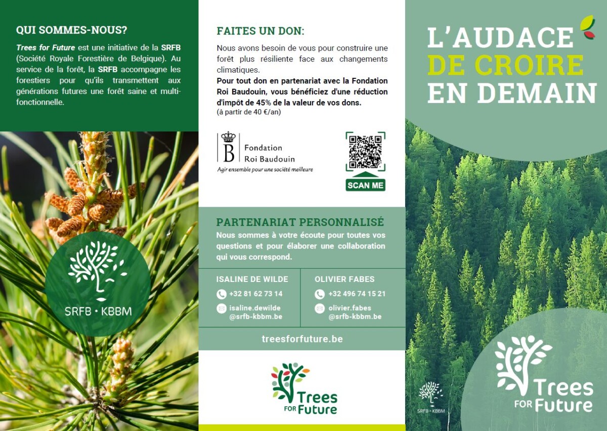 Un nouveau support pour l'appel aux dons pour Trees for Future - TREES ...