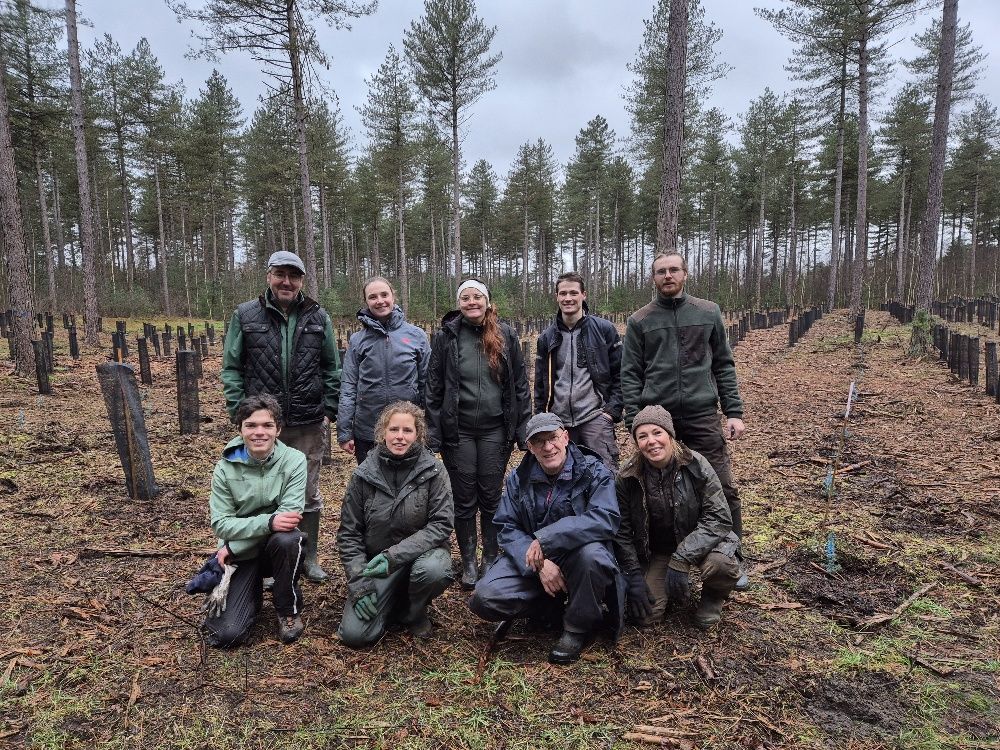 Nog 3.500 bomen geplant deze winter - TREES FOR FUTURE